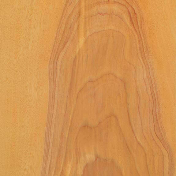 TimberLine Series | Cover Cap Species & Color Options